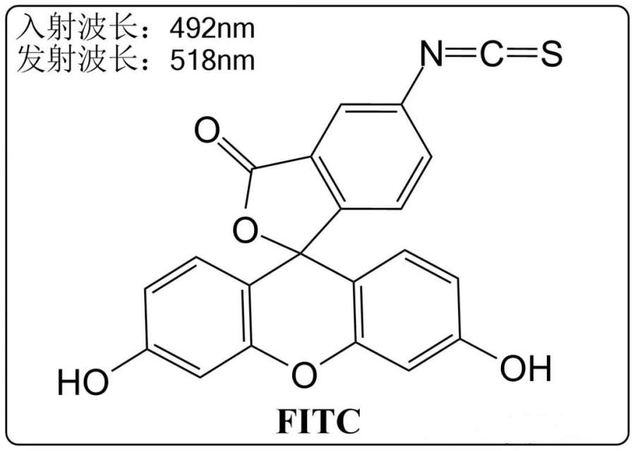 FITC标记多肽N端，为什么要加Linker?-盖德化工问答
