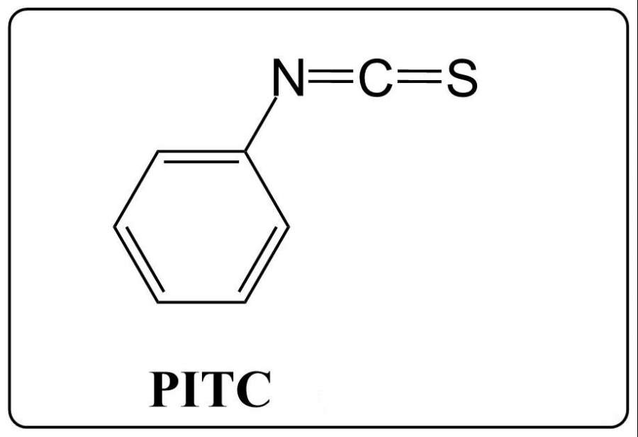 FITC标记多肽N端，为什么要加Linker?-盖德化工问答