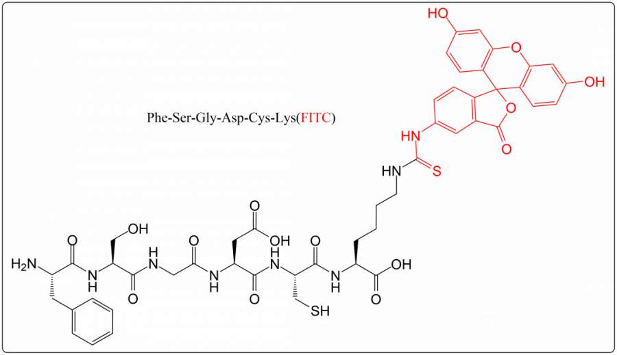 FITC标记多肽N端，为什么要加Linker?-盖德化工问答